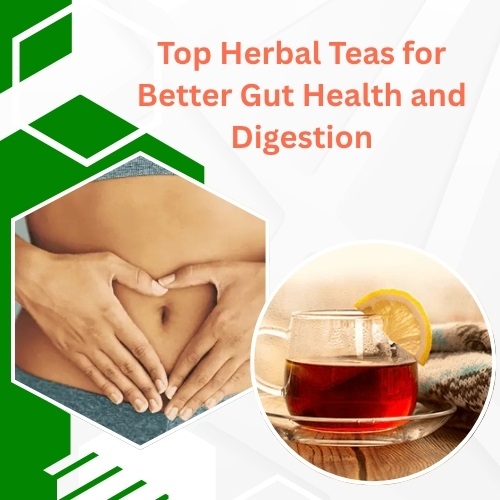 Top Herbal Teas for Better Gut Health and Digestion - Herbs Solutions By Nature Blog
